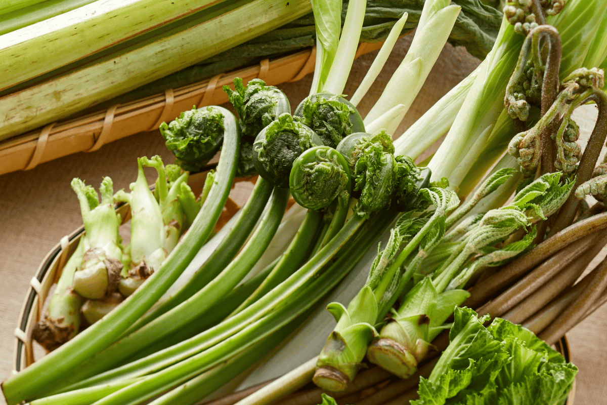 100 Vegetables Name: Ultimate List of Powerful Veggies