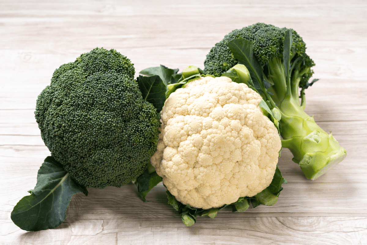 100 Vegetables Name: Ultimate List of Powerful Veggies