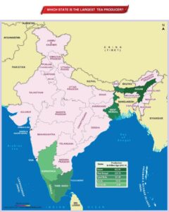 Top 10 Tea Producing States in India (2025)- Production, Map, Facts