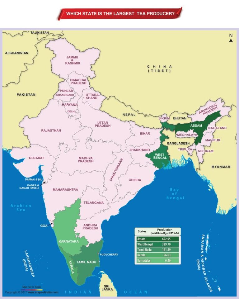 Top 10 Tea Producing States in India (2025)- Production, Map, Facts