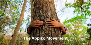 Appiko Movement– Saving Forests, Cultures & Lives in India