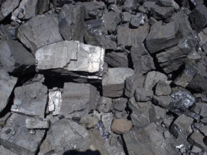 Top 4 Types of Coal – Characteristics, Formation & Applications