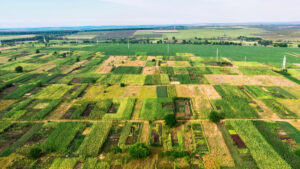 Land Reforms in India: Bold Change & Real Impact