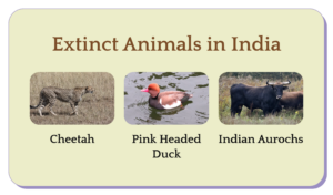 Top 10 Endangered Animals in India – Threats & Conservation