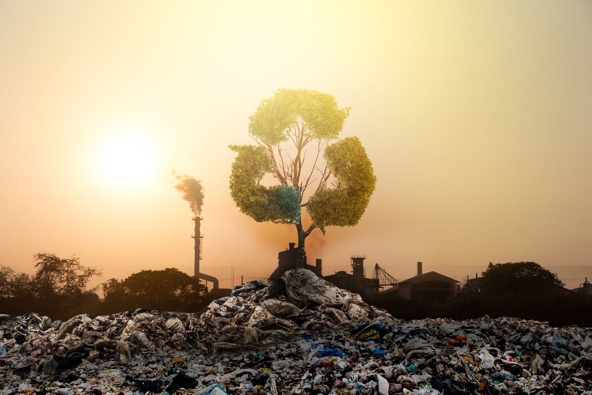7 Must-Know Facts About Solid Waste Management Today