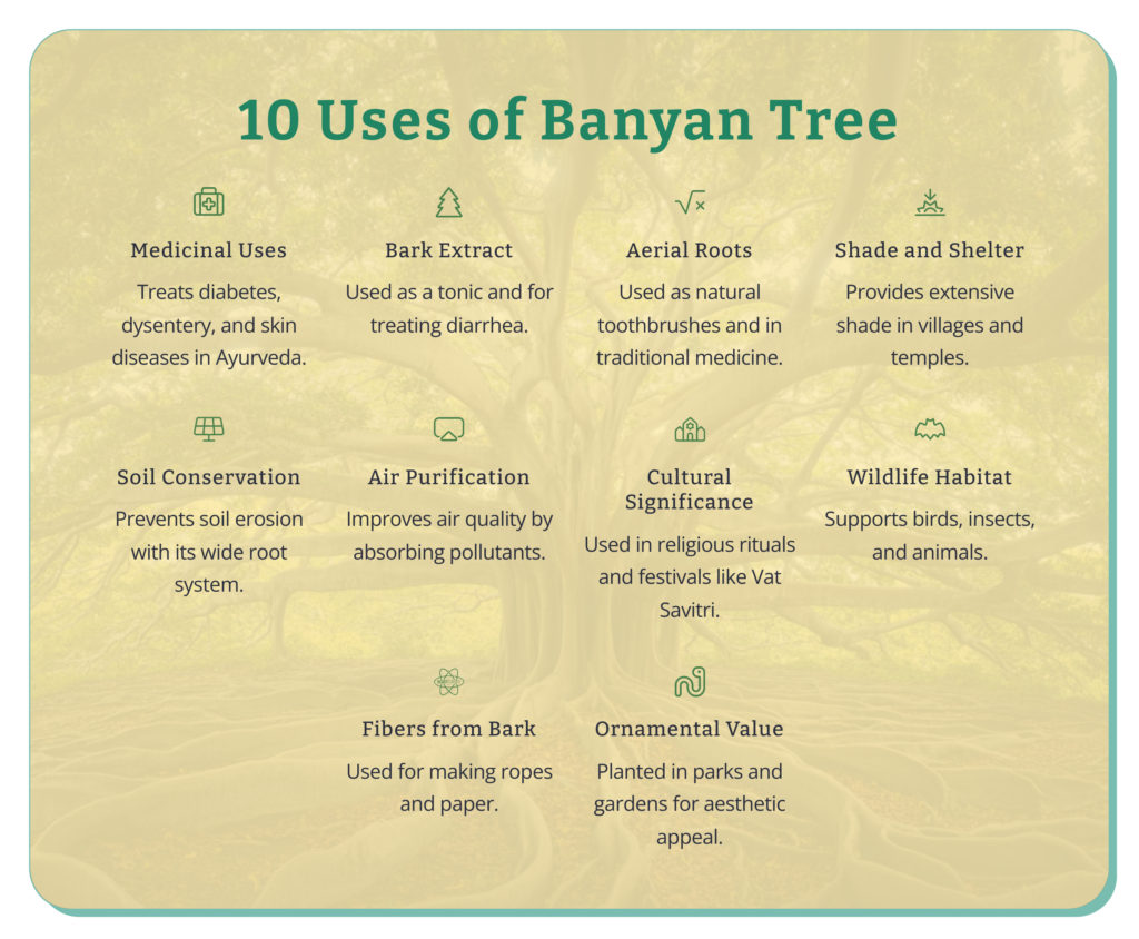 Fascinating Facts About to National Tree Of India (2025)!
