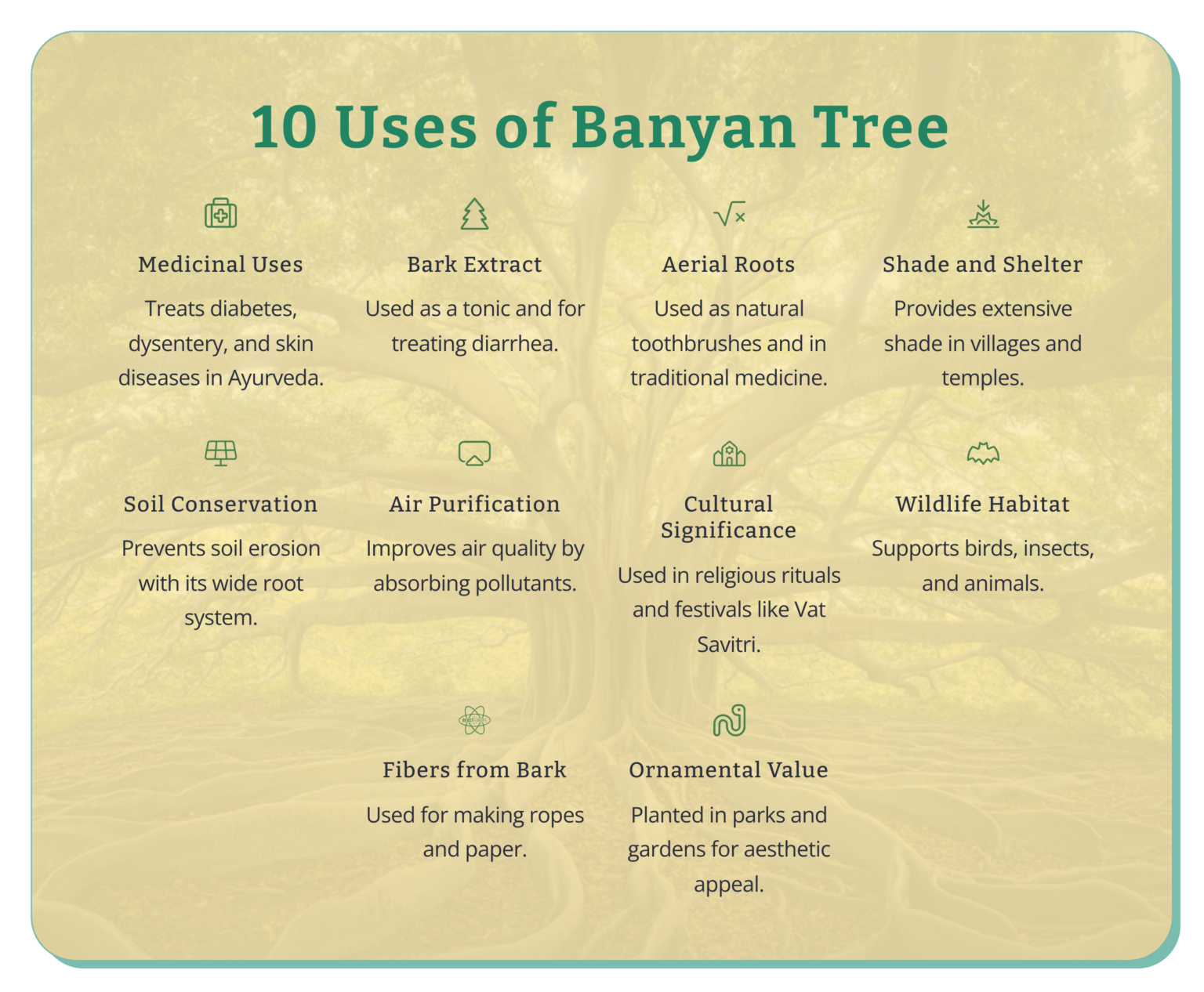 Fascinating Facts About to National Tree Of India (2025)!