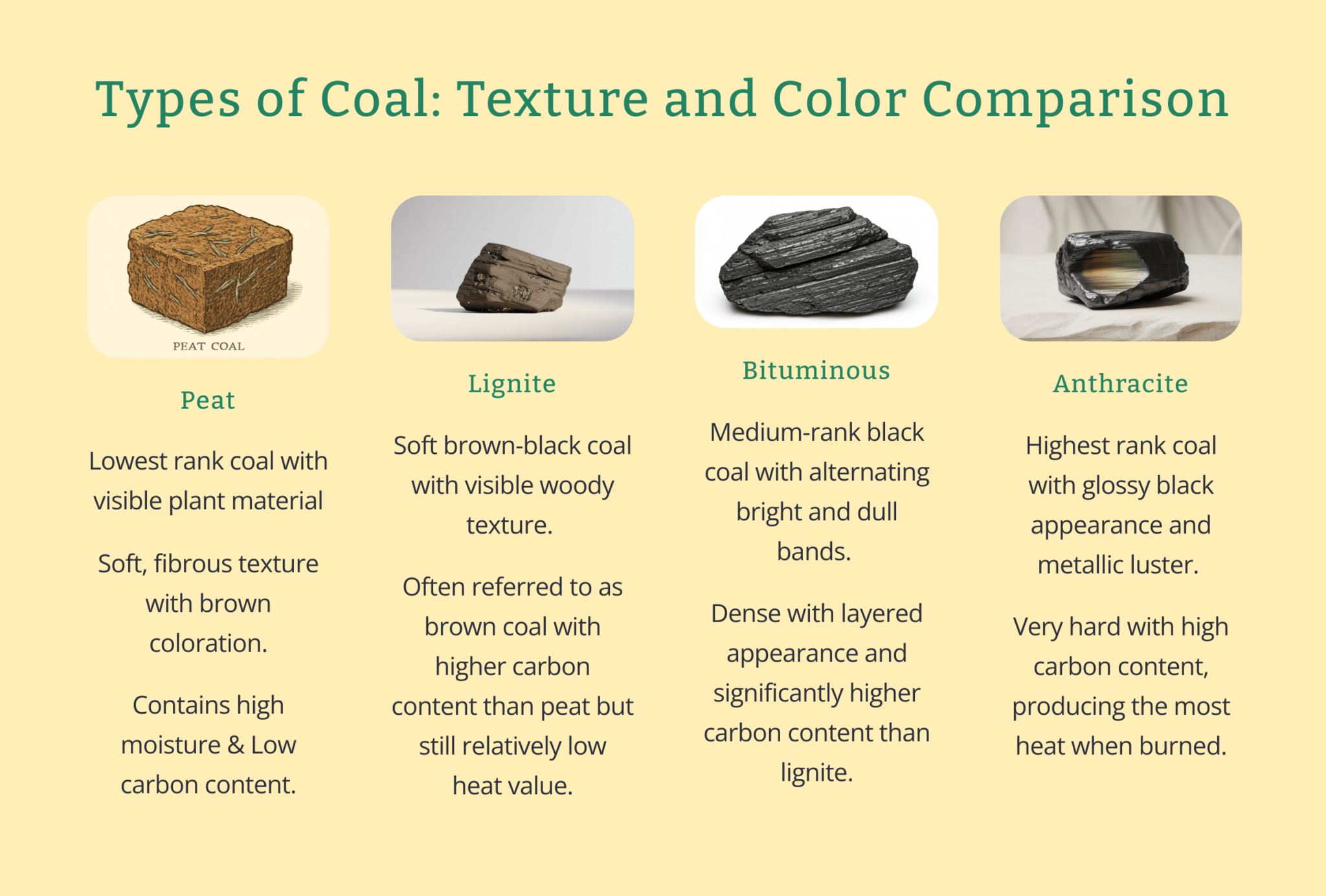 Top 4 Types of Coal – Characteristics, Formation & Applications