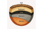 Top 4 Types of Coal – Characteristics, Formation & Applications