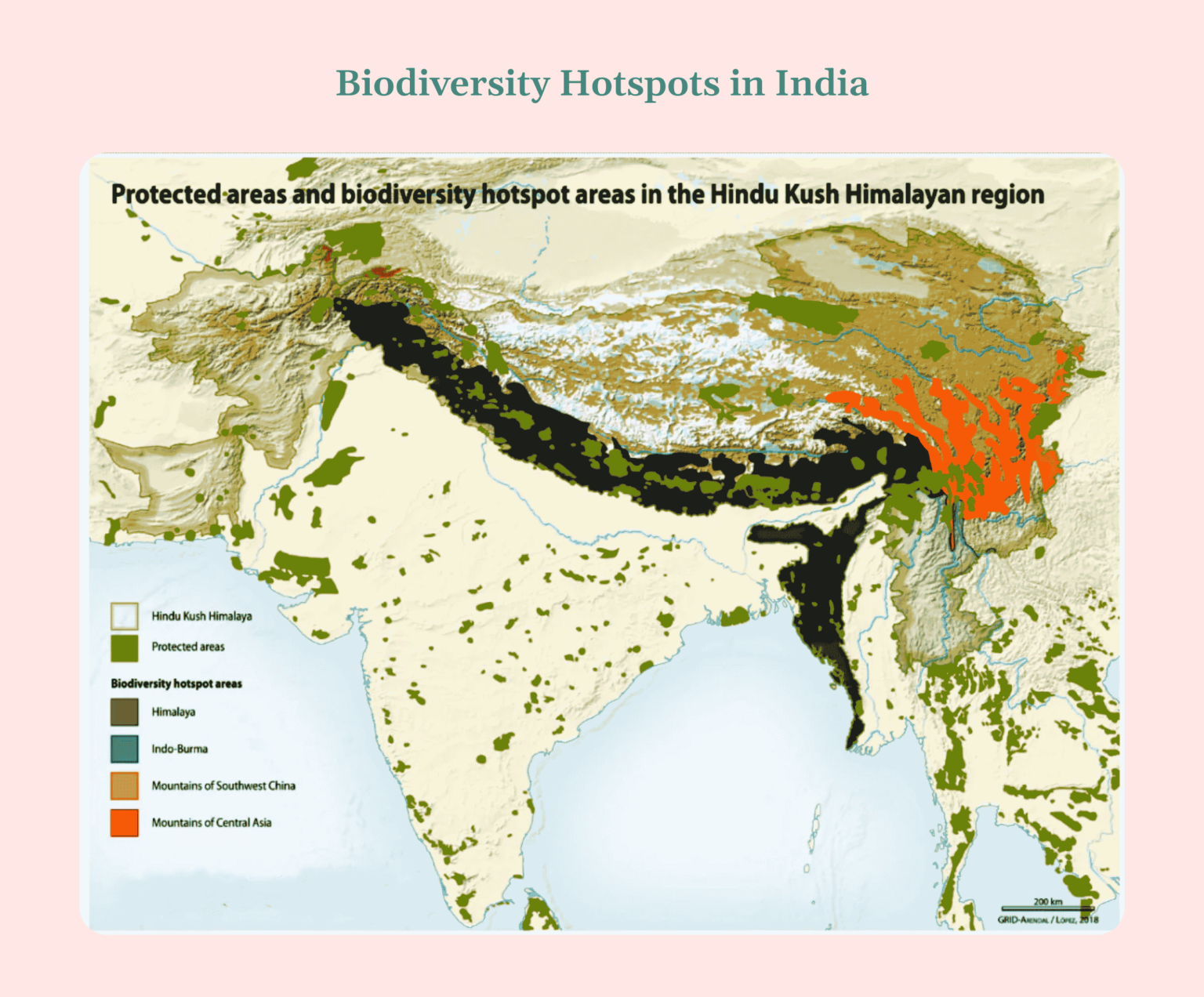 4 Incredible Biodiversity Hotspots in India Thriving Today