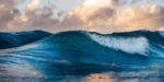 How Many Oceans Are There in the World? 5 Stunning Truths
