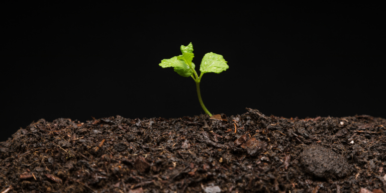 Black Soil (Regur): Properties, Crops & Distribution