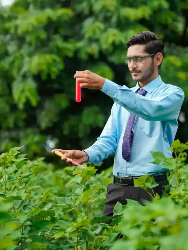 Top 7 Career-Boosting Courses After BSc Botany in 2025 - Chegg India