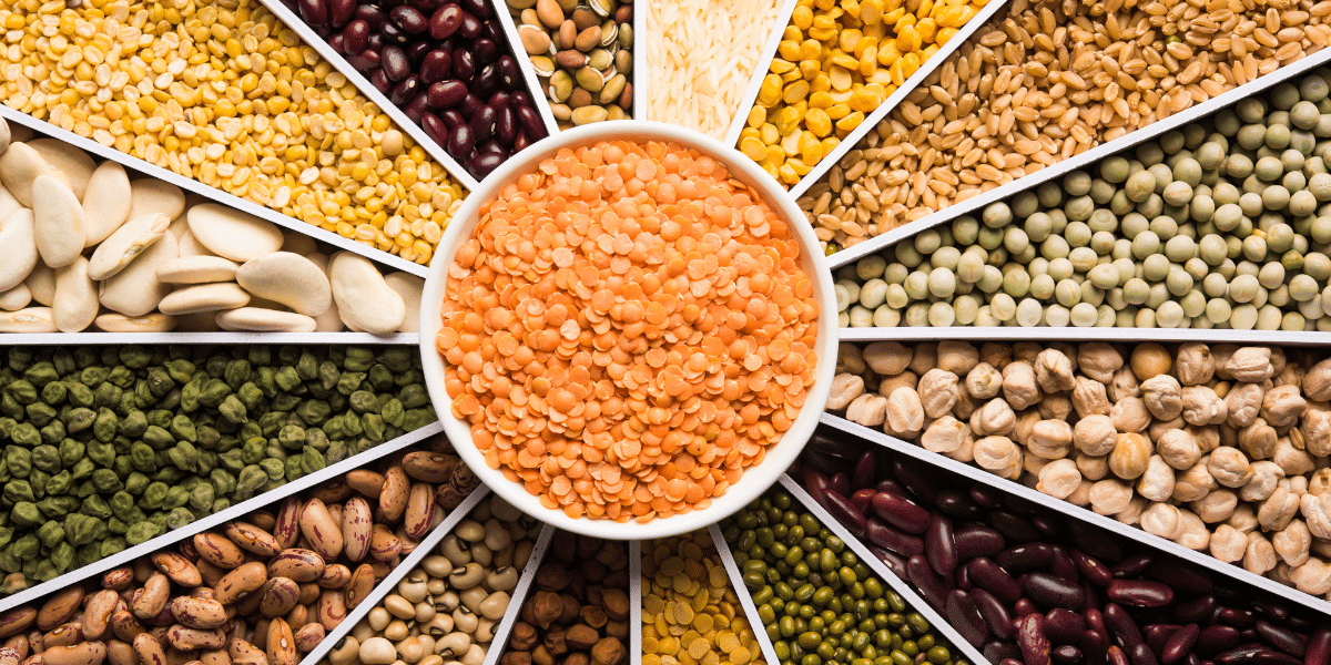 Top List of Pulses: Essential List of Nutritious Types