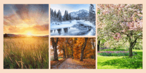 Seasons in India – Names, Months & 6-Season Ritu Explained